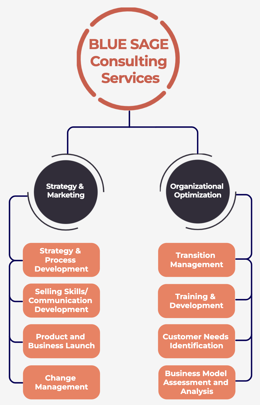 Home - BLUE SAGE Consulting, Inc.